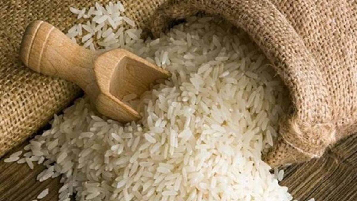 First rice silos under PPP mode to be operational next month - Economy ...