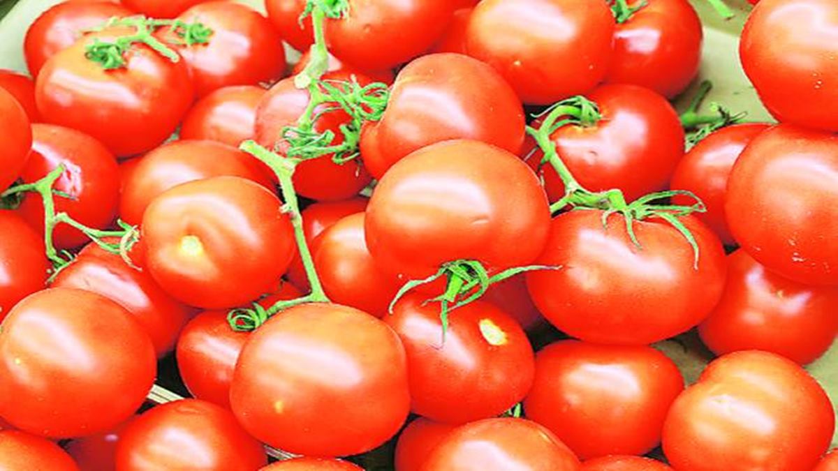 Tomato prices at Mother Dairy's retail stores doubled to nearly Rs 80 per kg in last one week ...