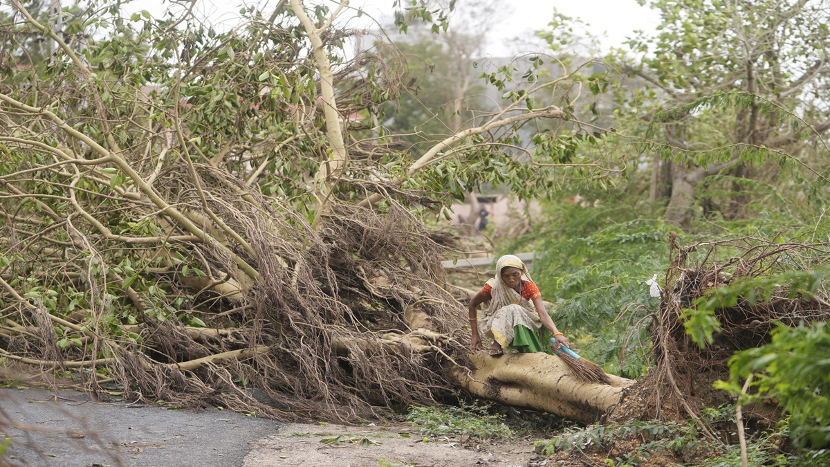 Cyclone Biparjoy: Irdai directs insurers to fast-track claim settlement ...