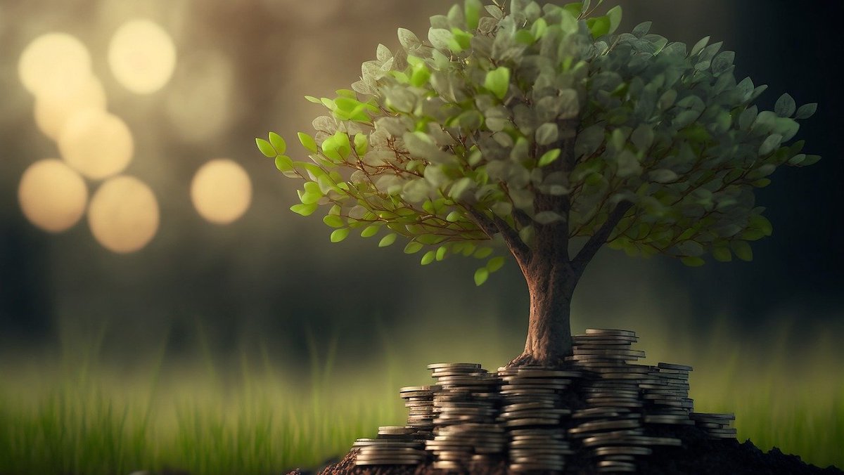 What is Green Fixed Deposit? Interest Rate, Benefits, Risks and How it ...