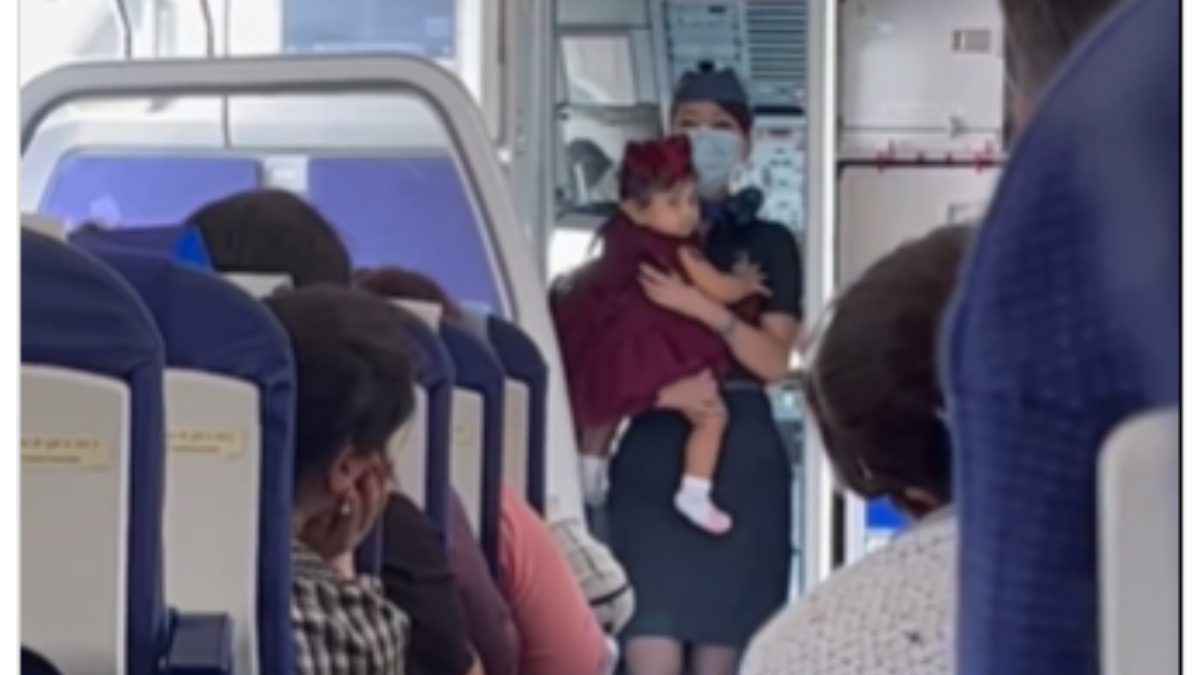 IndiGo crew celebrates toddler's first birthday on flight! Watch ...