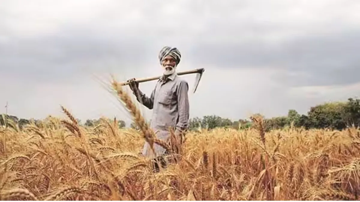 Hiking PM-Kisan: A higher level of ambition will make for good politics ...