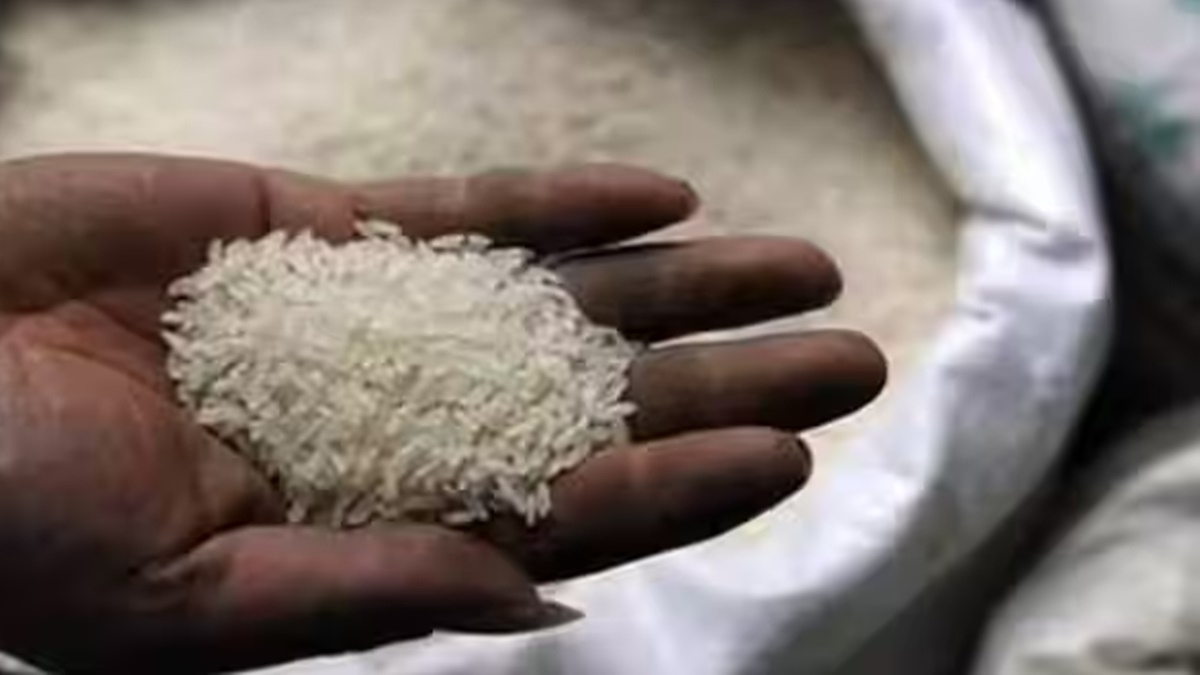 Impact of India’s non-basmati white rice export ban – an explainer ...