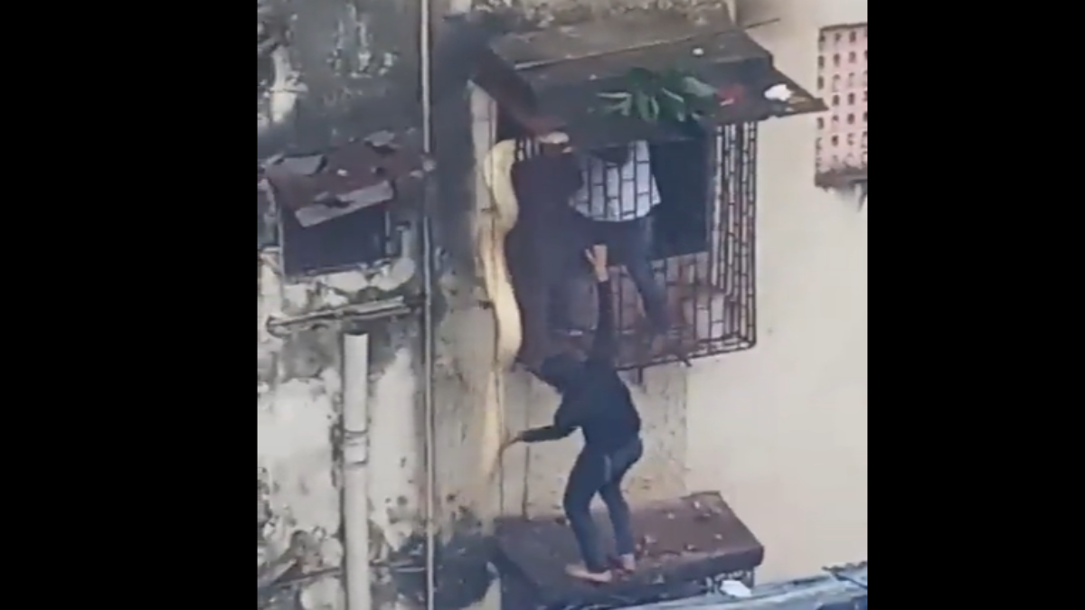 Maharashtra: Massive python dangles from a resident's window in Thane ...
