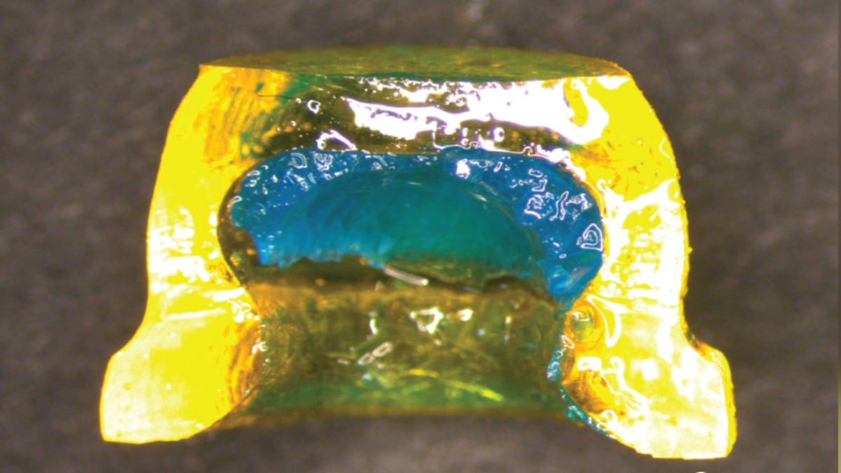 Scared of needles? Check out this drug patch that can deliver medicine ...