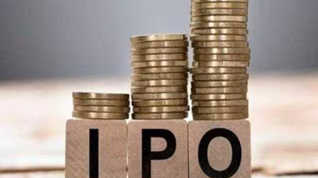 IndiaFirst Life Insurance IPO likely by November - IPO News | The Financial Express