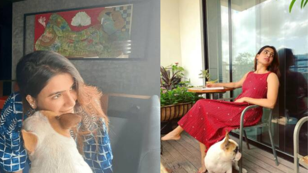 In Images| A look inside Samantha Ruth Prabhu's elegant and contemporary home in Hyderabad ...