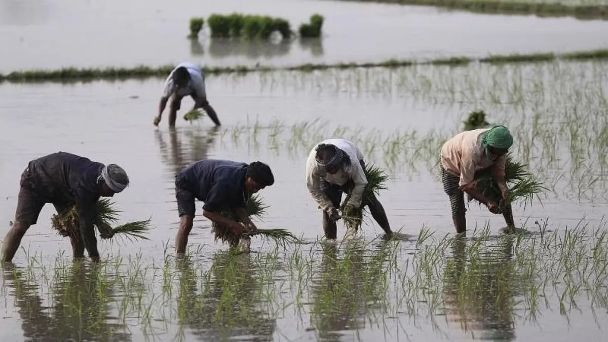 The sustainability questions that bedevil Indian agriculture - Economy ...