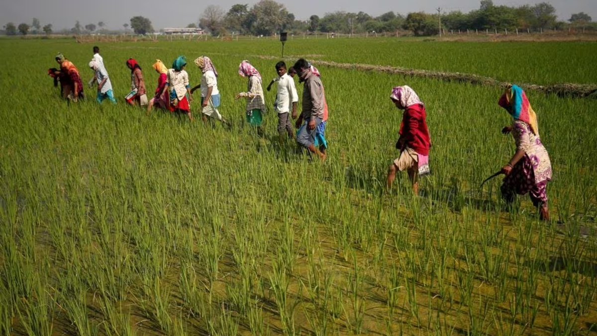 The Use and Benefits of Generative AI for Agriculture Innovation in ...