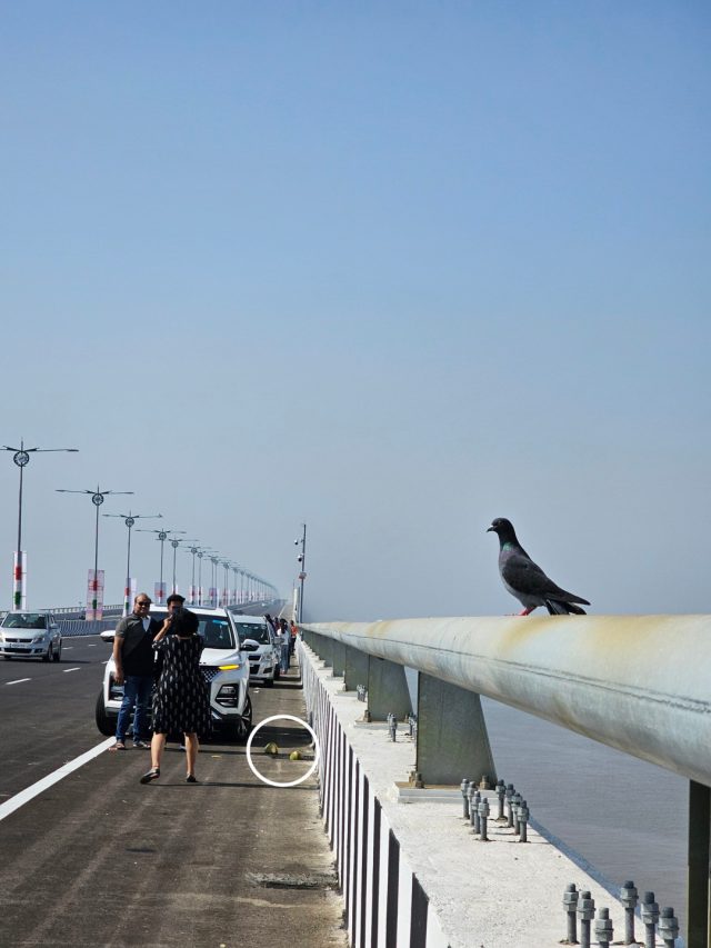 Atal Setu: Mumbai Trans Harbour Link becomes attraction for speeding ...