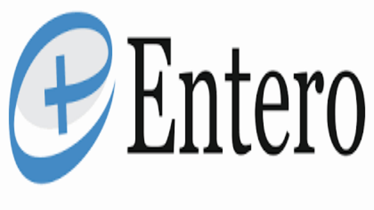 Entero Healthcare Solutions IPO open for retail investors; Should you ...