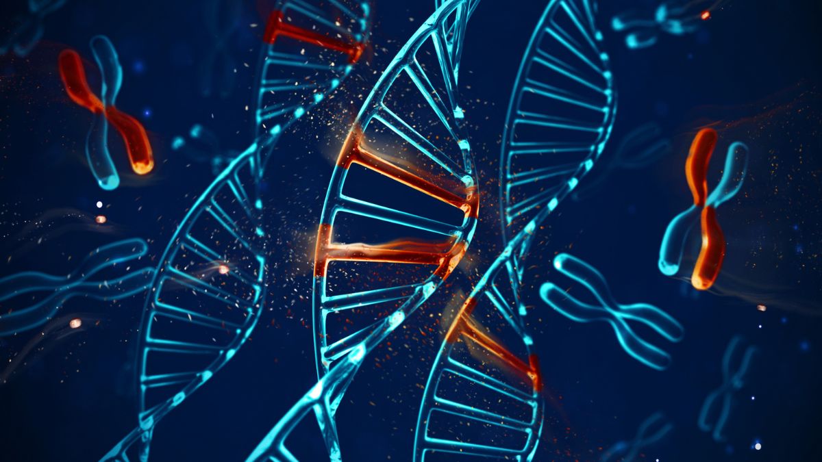 ‘X’ploring Women’s Health: Stanford study reveals the relation between ...