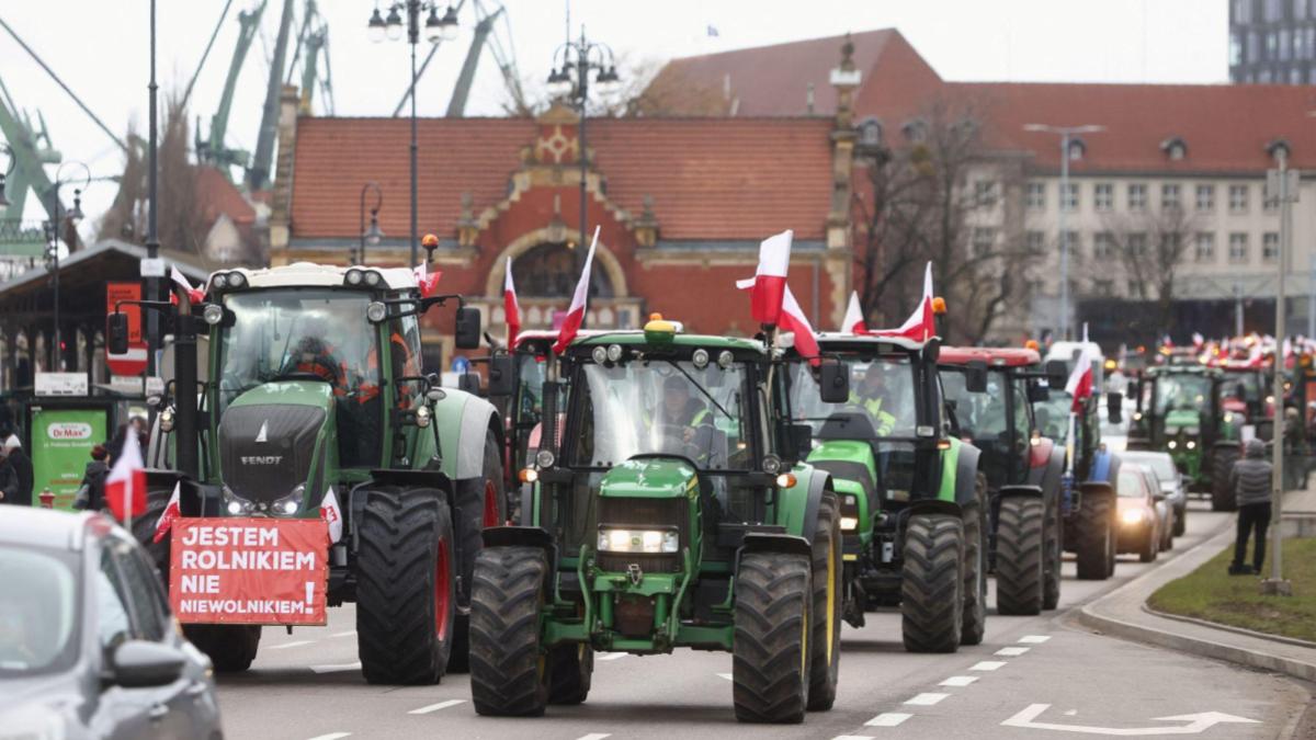 Farmers from 10 EU countries join forces - and tractors - to protest ...