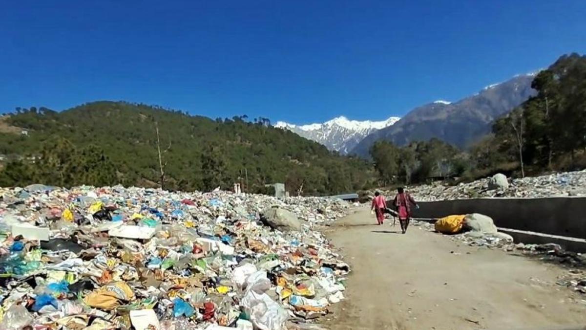 Waste dumping in Himachal's eco-sensitive area: NGT issues notice to Environment Ministry ...