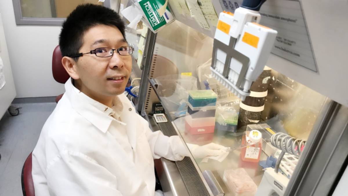 Game-changer in stem cell biology: US scientists create 3D-printed ...