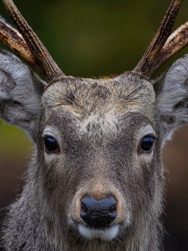 Web Stories - Latest Auto, Markets, Infrastructure, Lifestyle ...