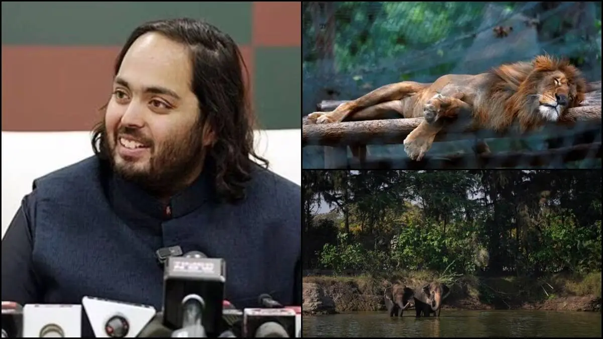 Mukesh Ambani's Son, Anant Ambani, launches 3,000-acre animal shelter ...