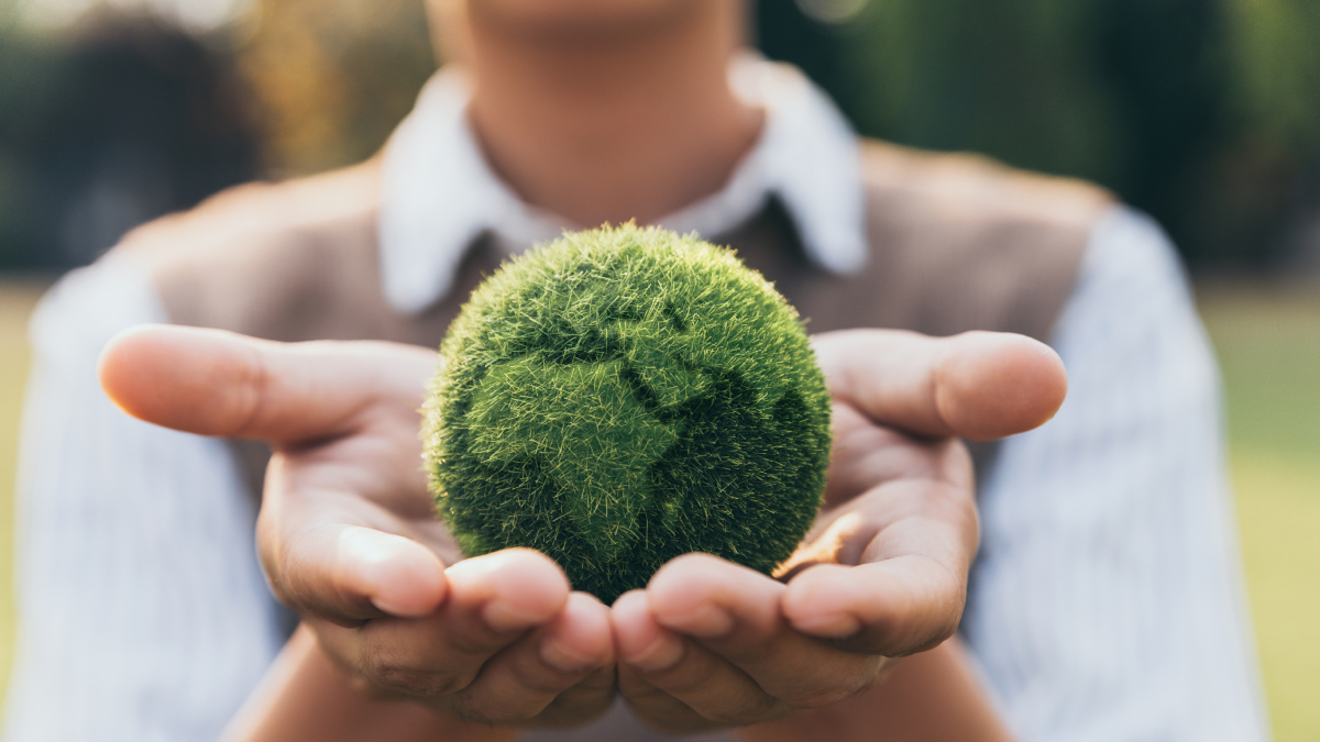 India’s tryst with the evolving climate levies - Industry News | The ...