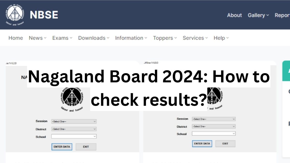 NBSE Nagaland Board Results 2024: How to check results at nbsenl.edu.in ...