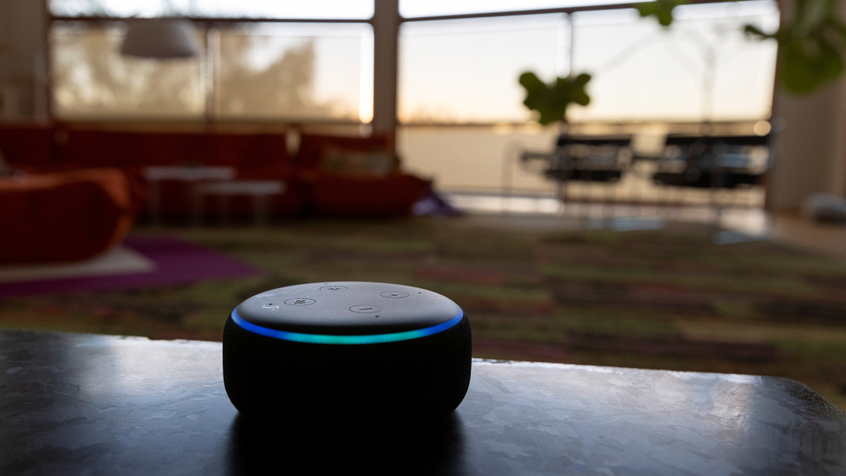 UP girl wards off 'monkey menace' with quick wit and some help from ...