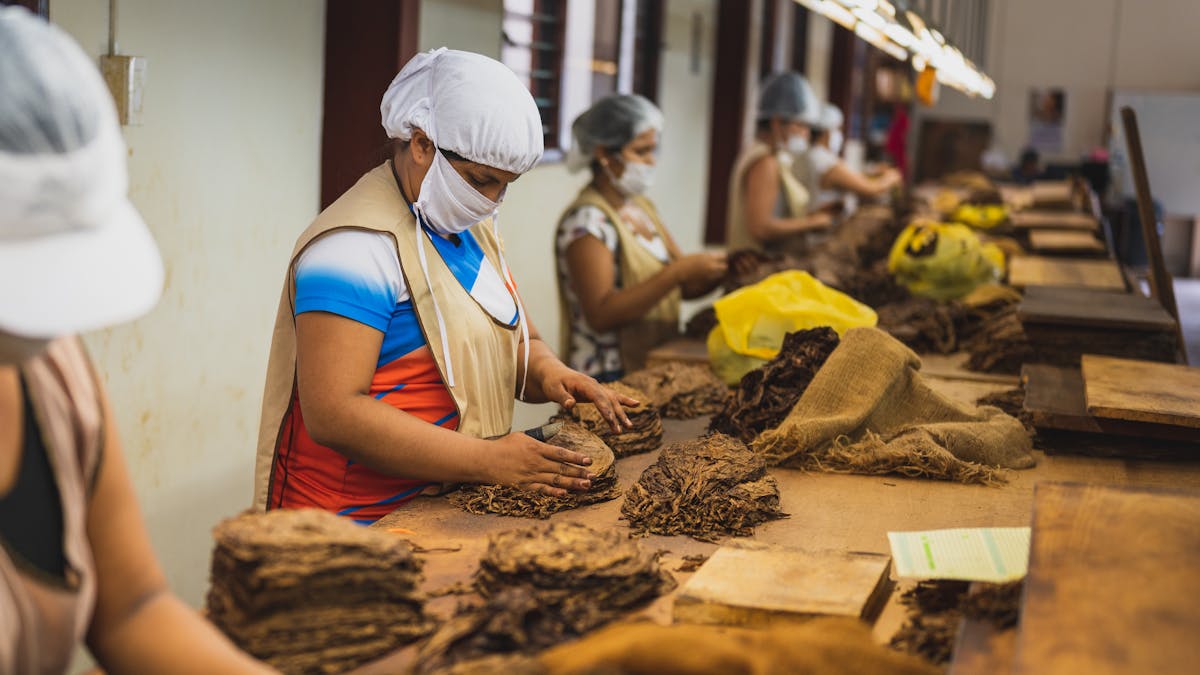 Micro enterprises' big challenges: How India can break growth barriers ...