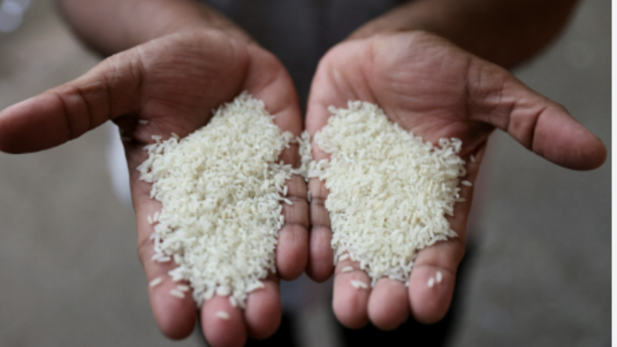 Rice stocks four times the buffer - Economy News | The Financial Express