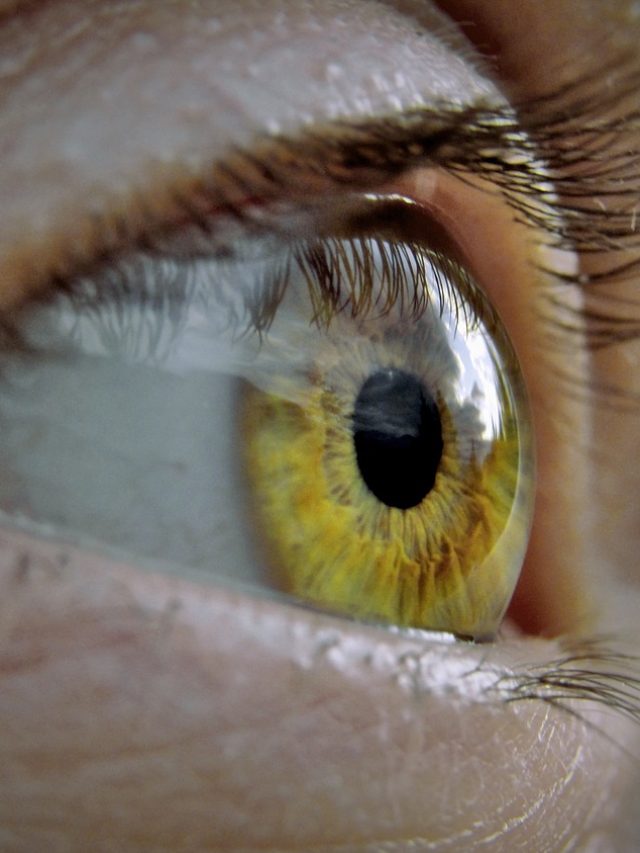 Eye stroke and Heatwave: All you need to know