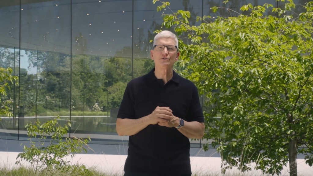 Apple CEO Tim Cook acknowledges big AI limitation, says Apple ...