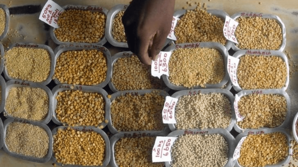Pulses import may decline on robust crop - Economy News | The Financial ...