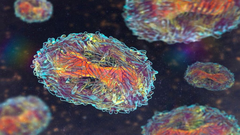 India develops Mpox detection RT-PCR kit that can reveal results in 40 ...