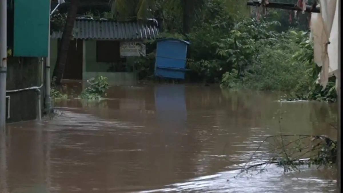 Gujarat: NDRF rescues seven stranded in Valsad due to heavy rain ...
