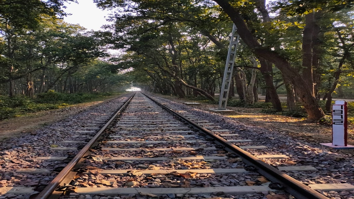 RVNL up 2.3%; Signs pact with Dhaya Maju Infra for railway projects in ...