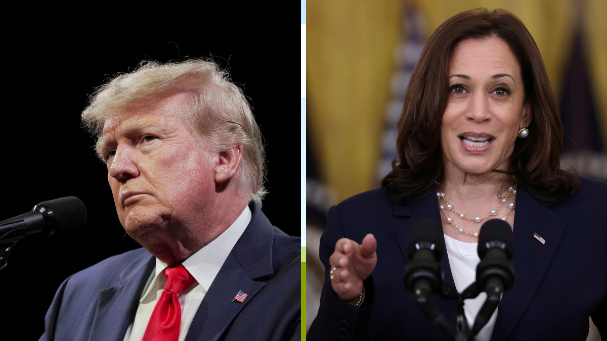 Donald Trump claims Kamala Harris will 'destroy our country' in conversation with Elon Musk ...