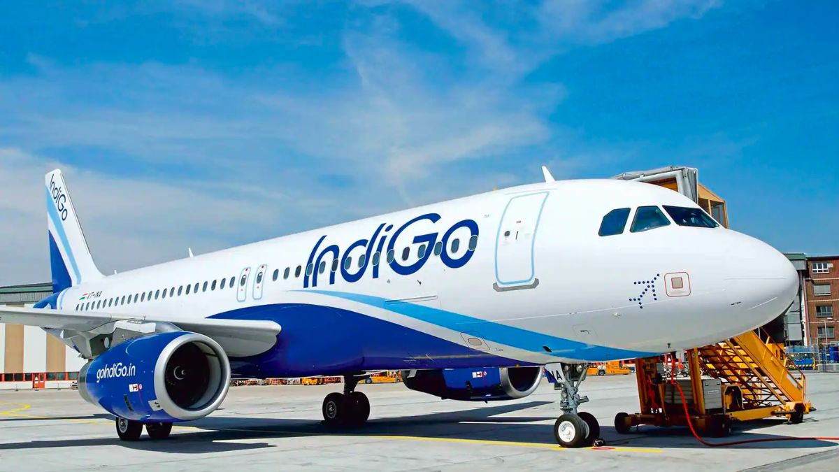 IndiGo posts Q2 loss of Rs 986.70 cr, revenue rises by 13.6% YoY; CEO ...
