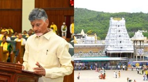 Tirupati laddu row: Supreme Court judges didn't say prasadam was unadulterated, says Dy CM Pawan ...