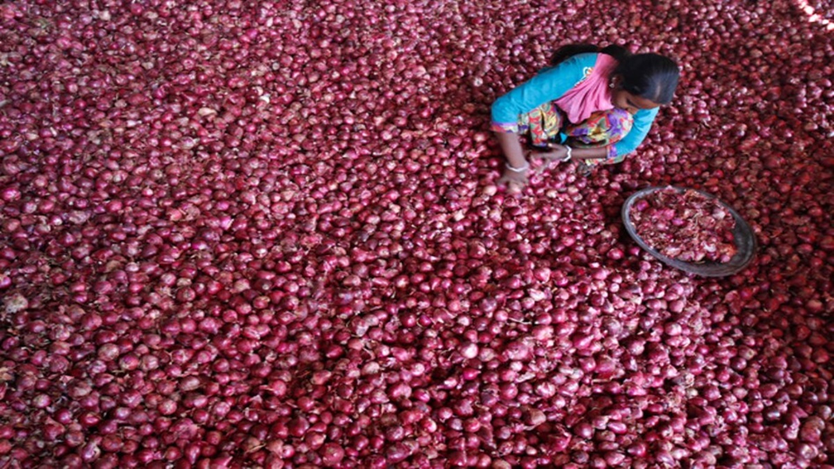 Retail onions prices drop on govt move to sell at Rs 35/kg - Economy News | The Financial Express