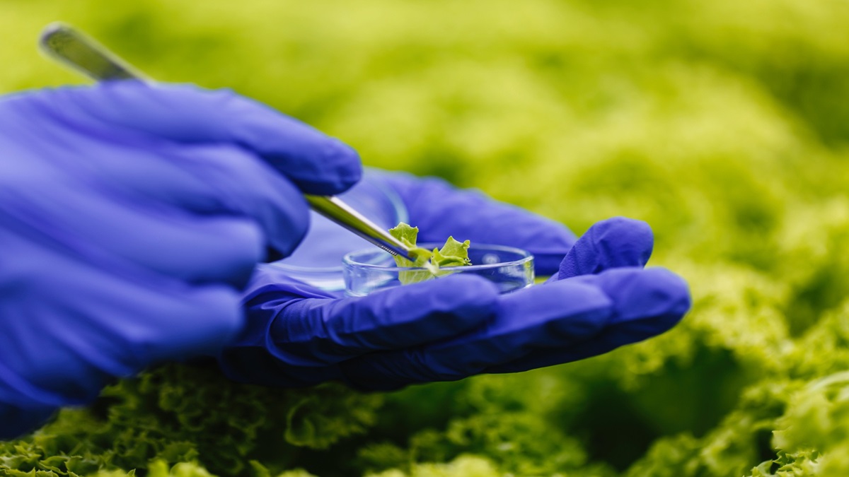 Biotech startup BioPrime raises $6 million Series A round led by ...