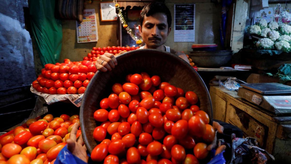 Retail tomato prices to drop as supplies from MP & HP commence ...