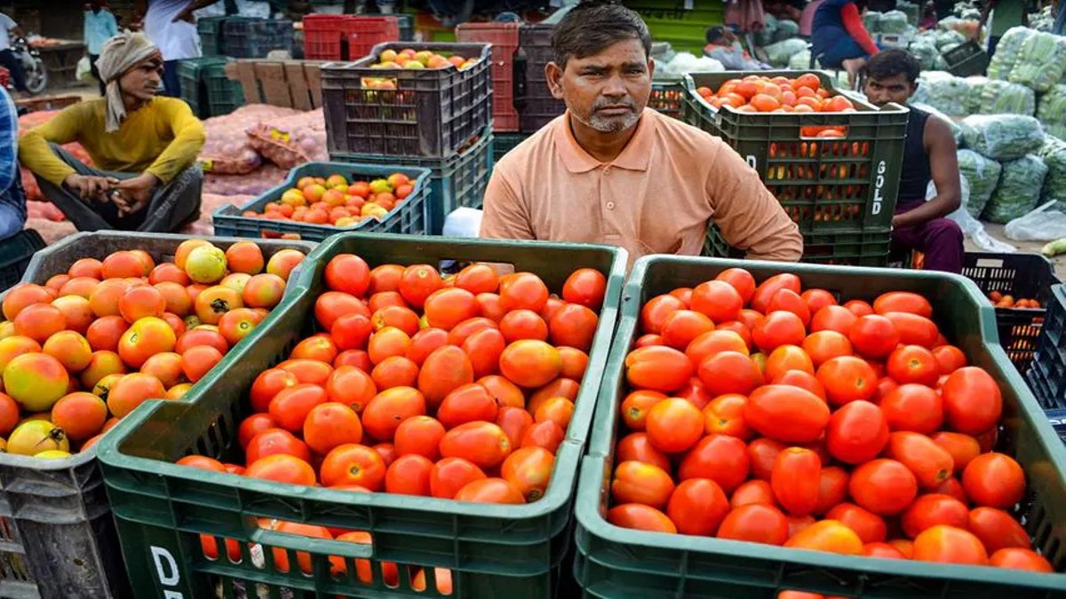 Relief for consumers! Tomato prices drop over 22 per cent on better ...