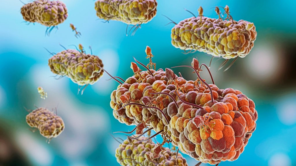 With superbugs on the rise, are common infections becoming untreatable ...