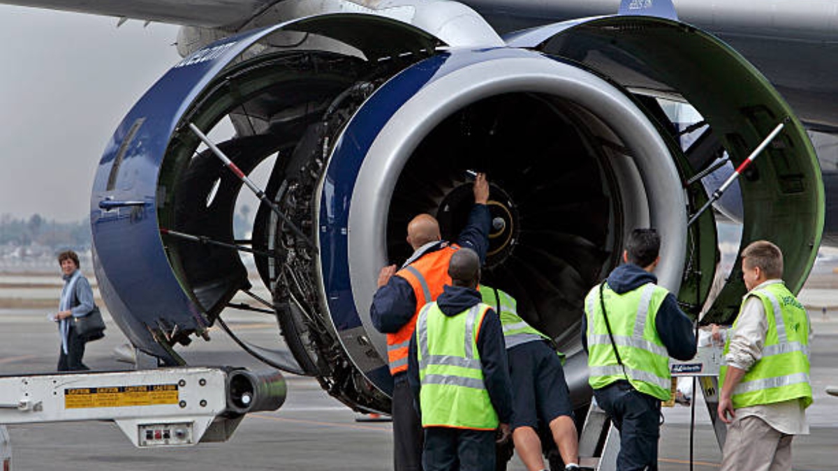 What steps are taken after a birdstrike incident in flights to ensure ...