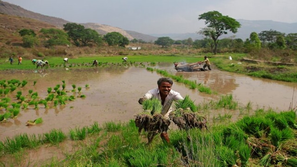 Cabinet extends 2 crop insurance schemes by a year - Economy News | The ...