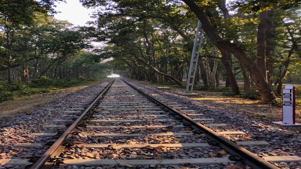 Why are RVNL shares rallying 7%? Here are the key details - Market News ...