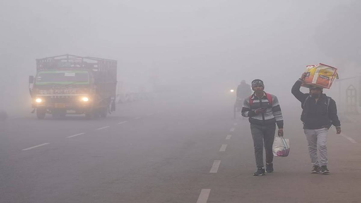 Weather Update: Severe fog, cold wave to persist in north India; IMD predicts rainfall in ...