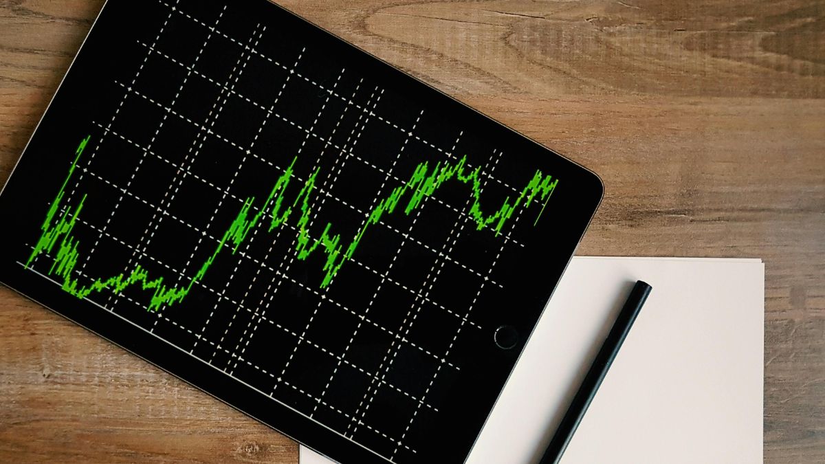 2025 Stock Market Crash: 5 stocks that bucked the trend and delivered ...