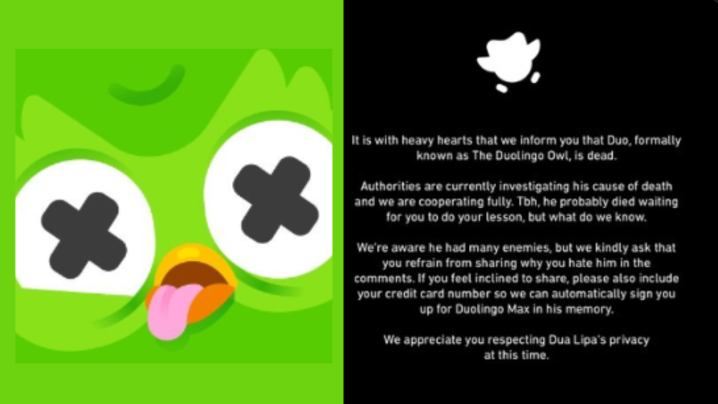 Duolingo bird is dead! - Brand Wagon News | The Financial Express