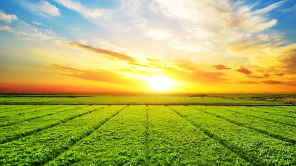 Budget FY26 has made agriculture the engine of rural prosperity and ...