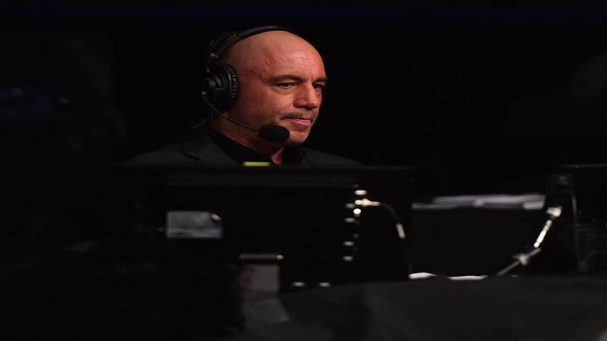 'Some things just make more sense when...': Joe Rogan cracks up at ...