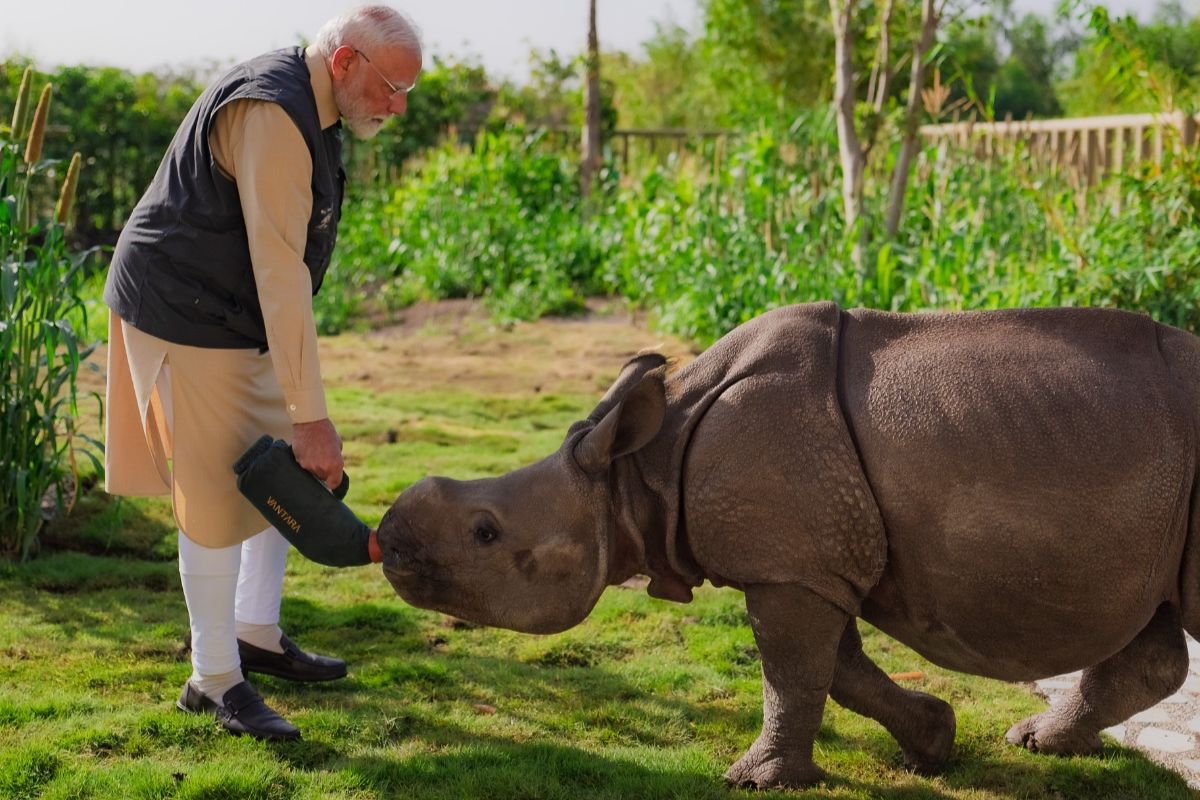 In Pictures | PM Modi inaugurates animal rescue centre - Vantara, feeds ...