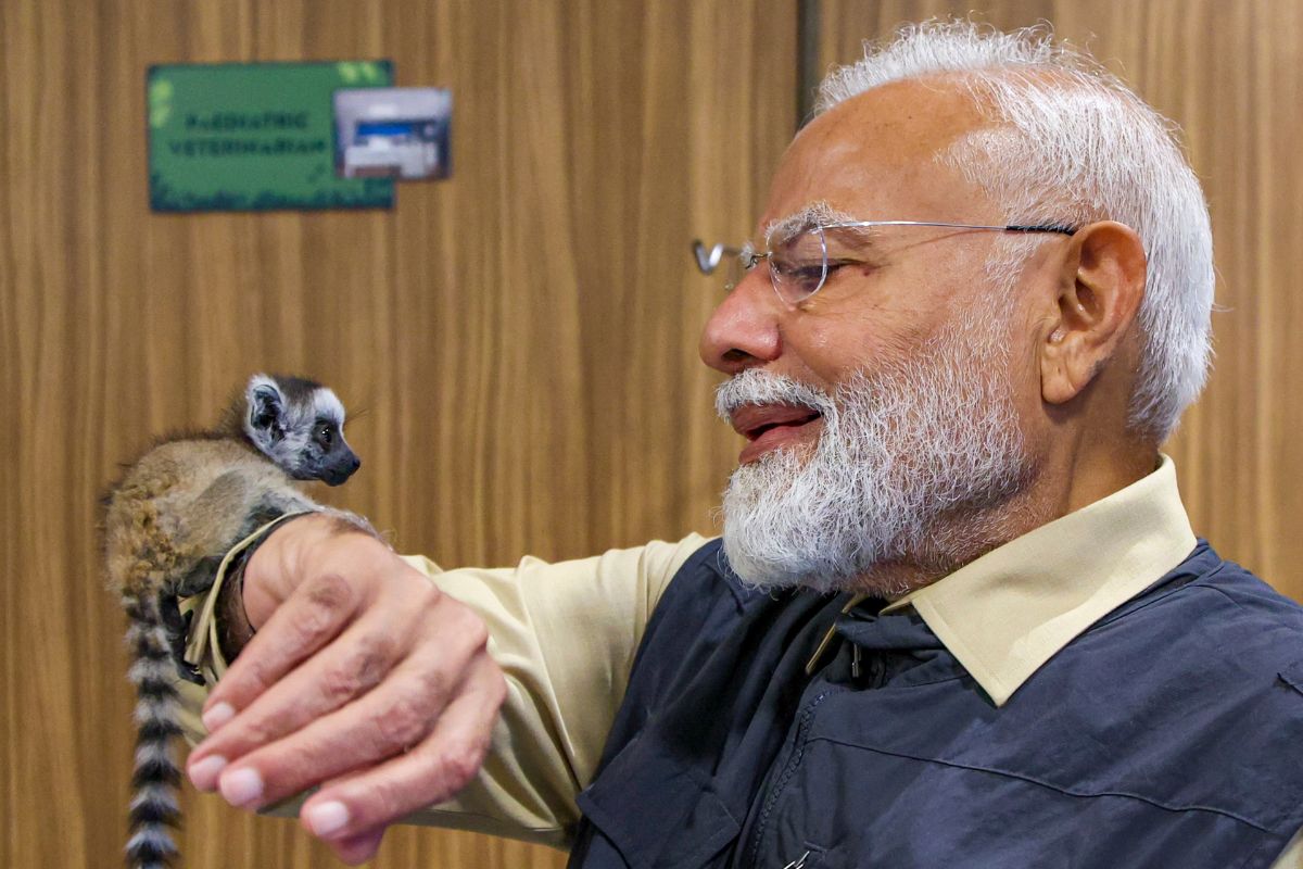 In Pictures | PM Modi inaugurates animal rescue centre - Vantara, feeds ...